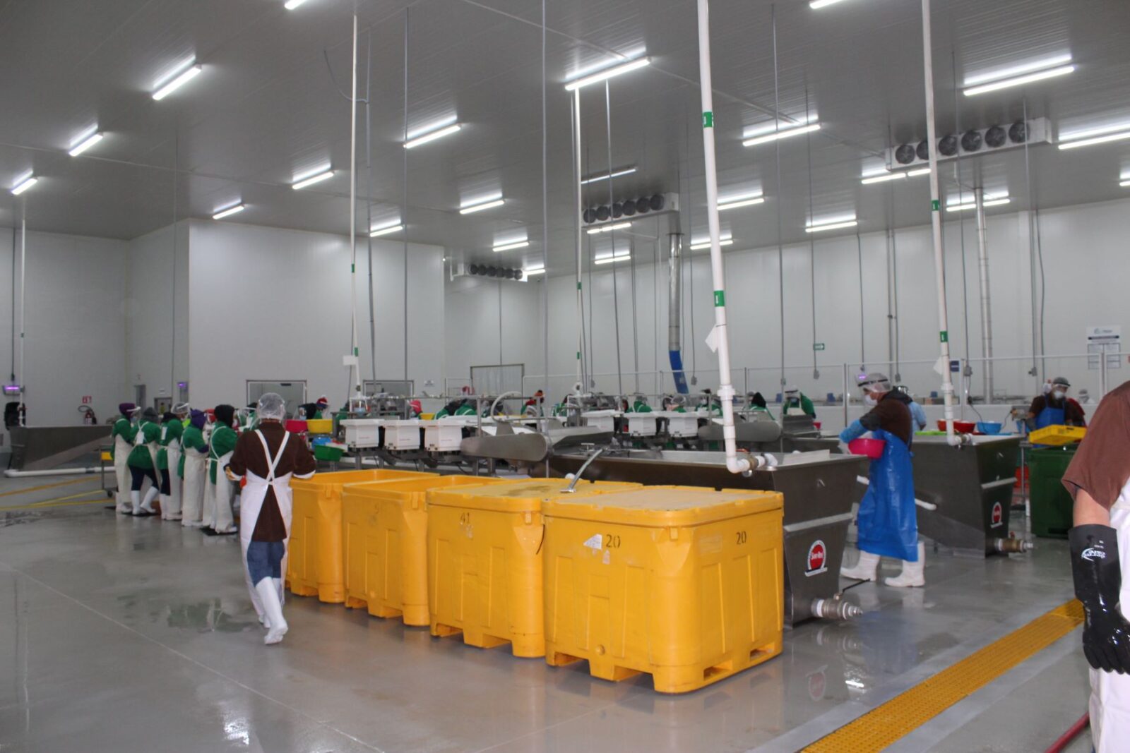 Empaques y Valor Agregado – Genitech Comercial