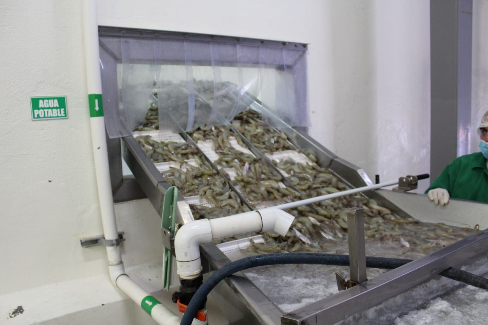 Planta Genitech – Genitech Comercial