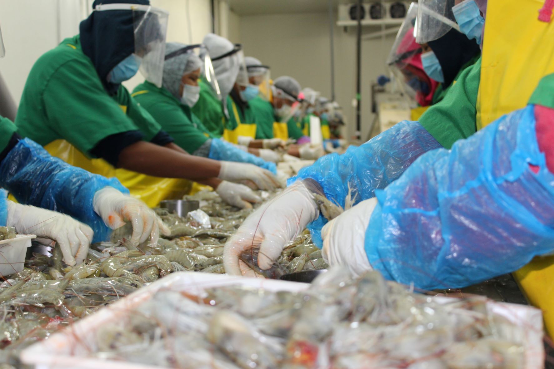 Planta Genitech – Genitech Comercial