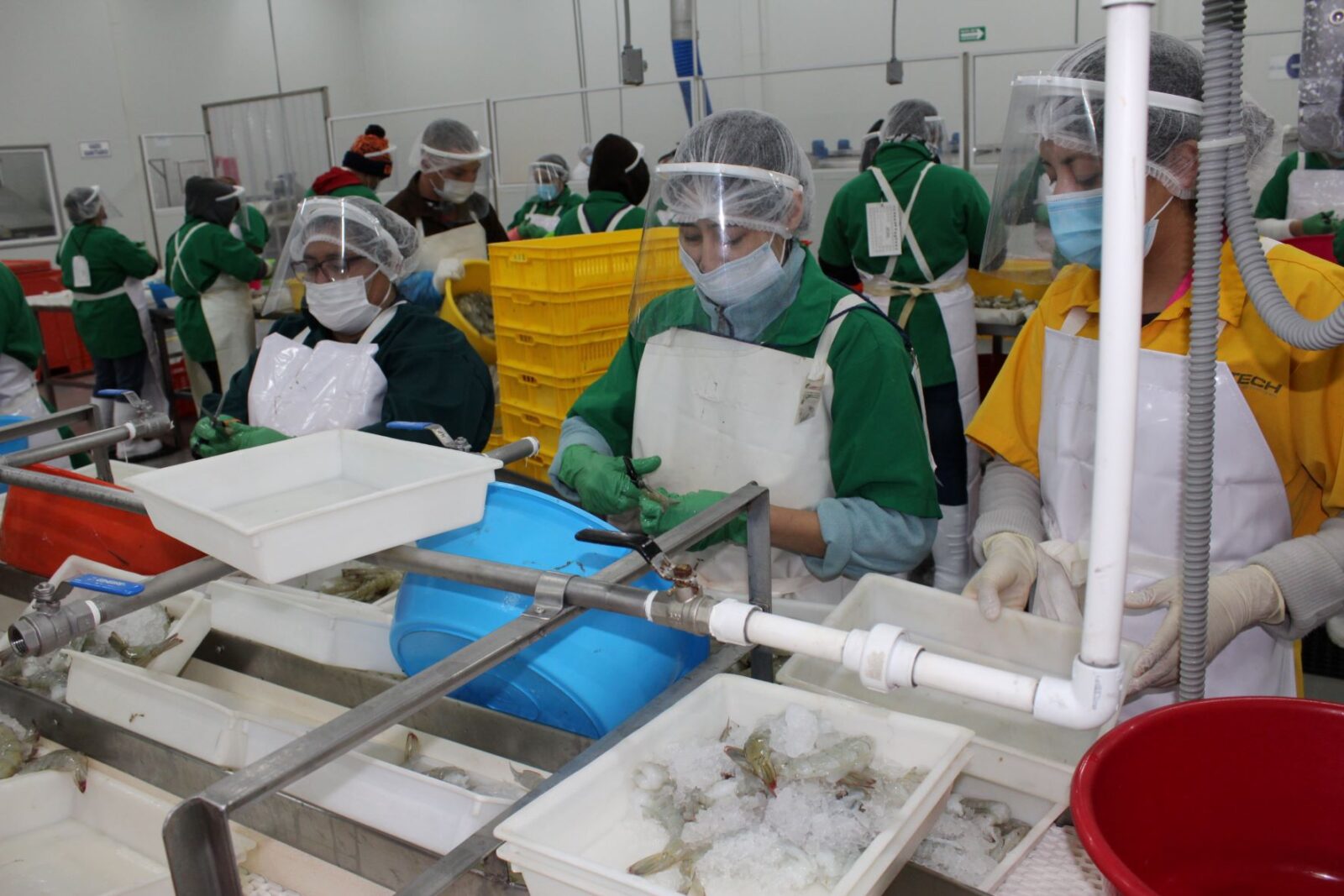 Empaques y Valor Agregado – Genitech Comercial