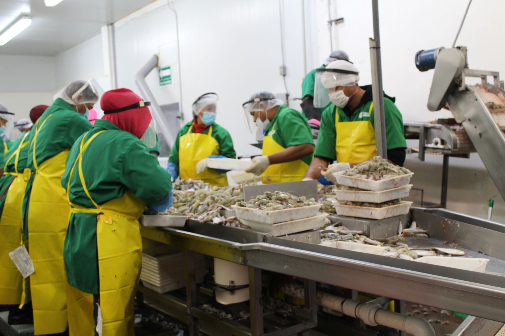 Planta Genitech – Genitech Comercial