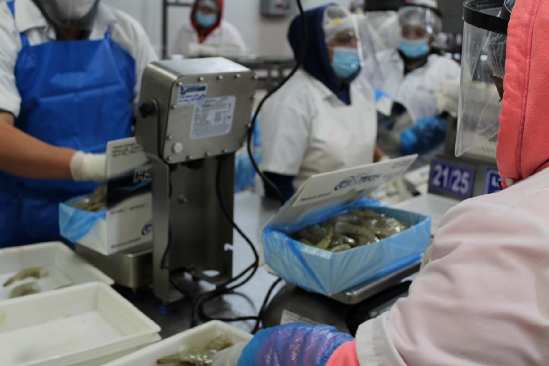 Planta Genitech – Genitech Comercial