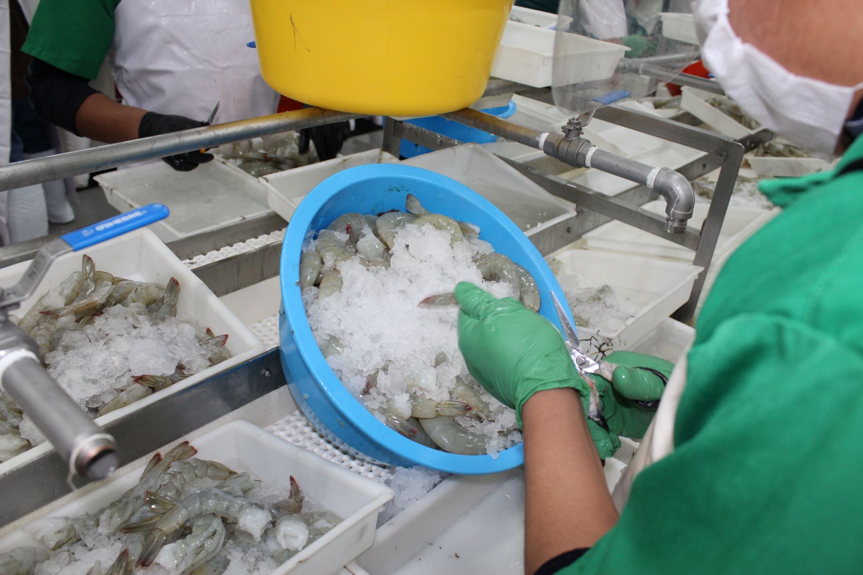 Empaques y Valor Agregado – Genitech Comercial