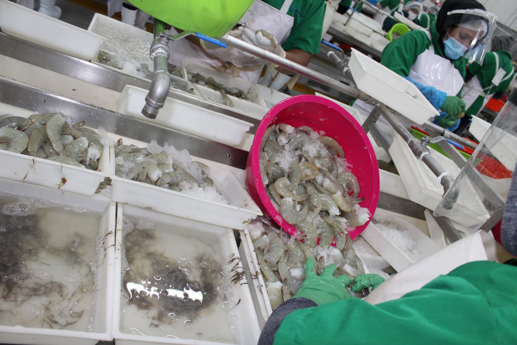 Empaques y Valor Agregado – Genitech Comercial