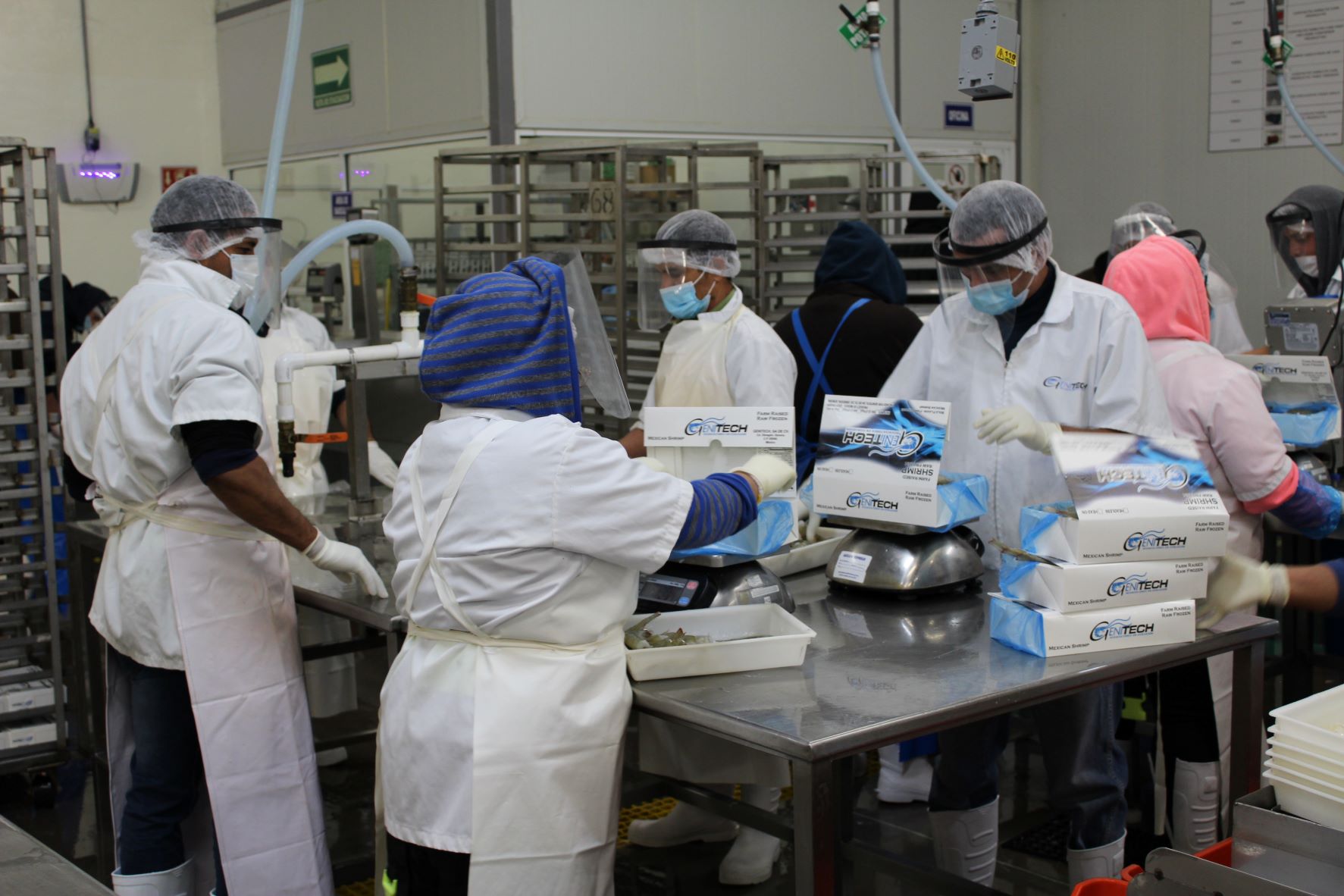 Planta Genitech – Genitech Comercial