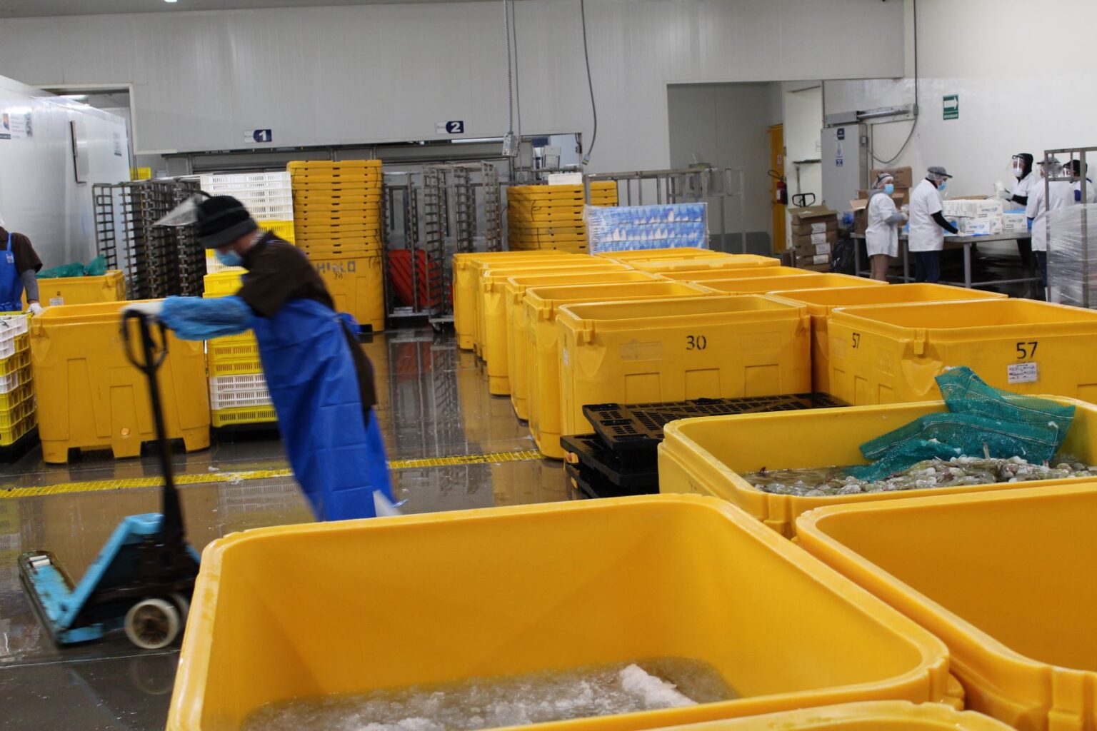 Planta Genitech – Genitech Comercial