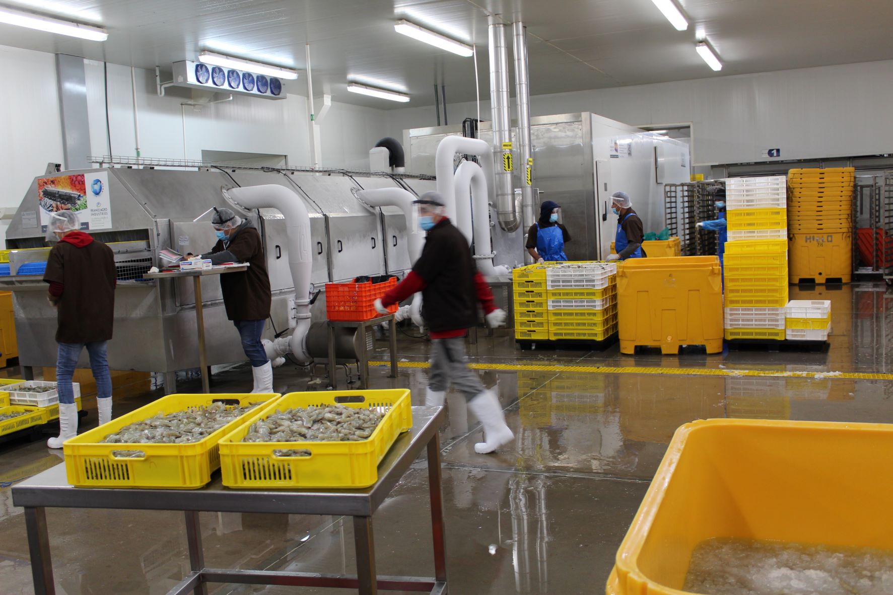 Planta Genitech – Genitech Comercial