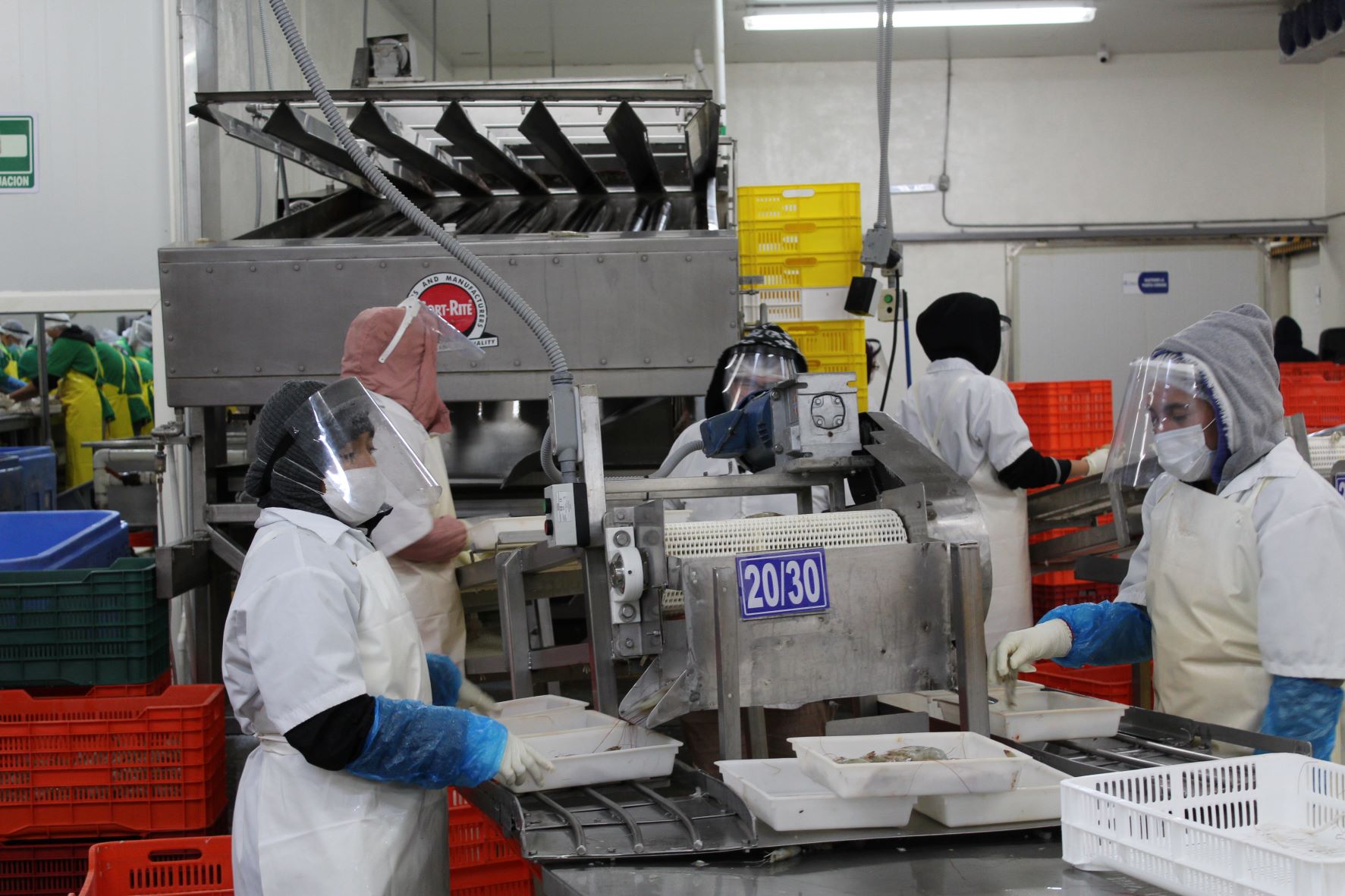 Planta Genitech – Genitech Comercial