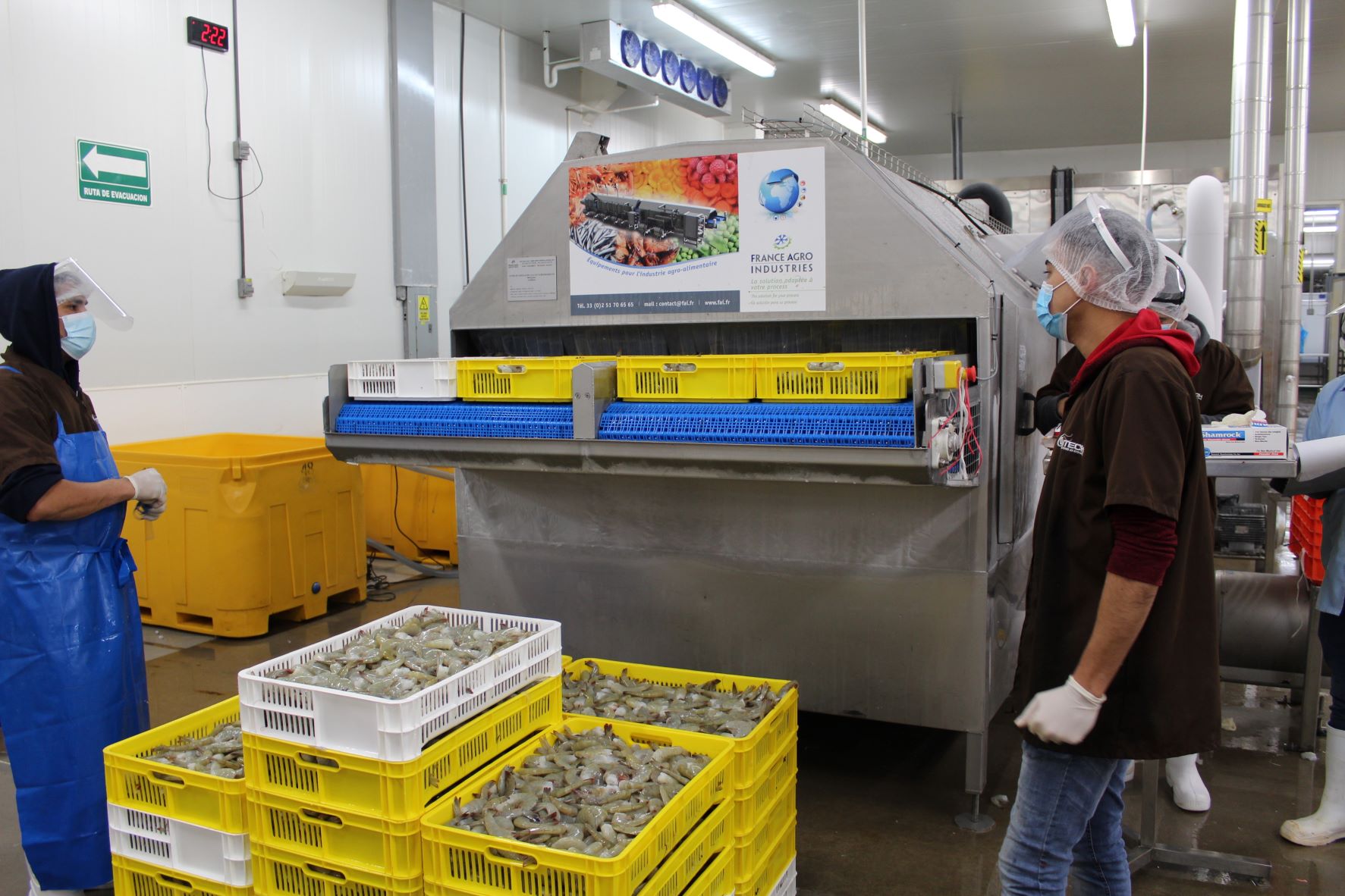 Planta Genitech – Genitech Comercial