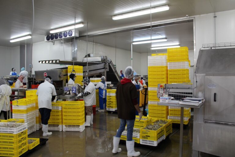 Planta Genitech – Genitech Comercial