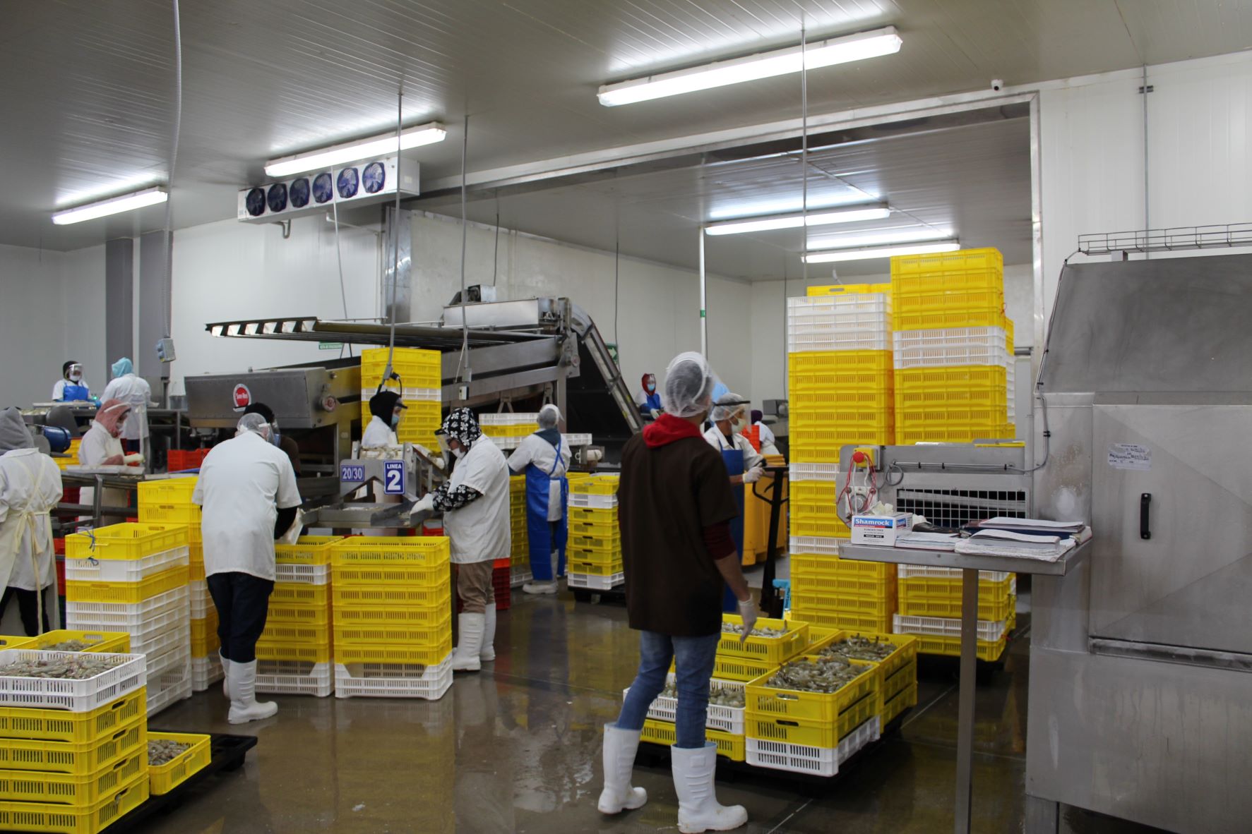 Planta Genitech – Genitech Comercial